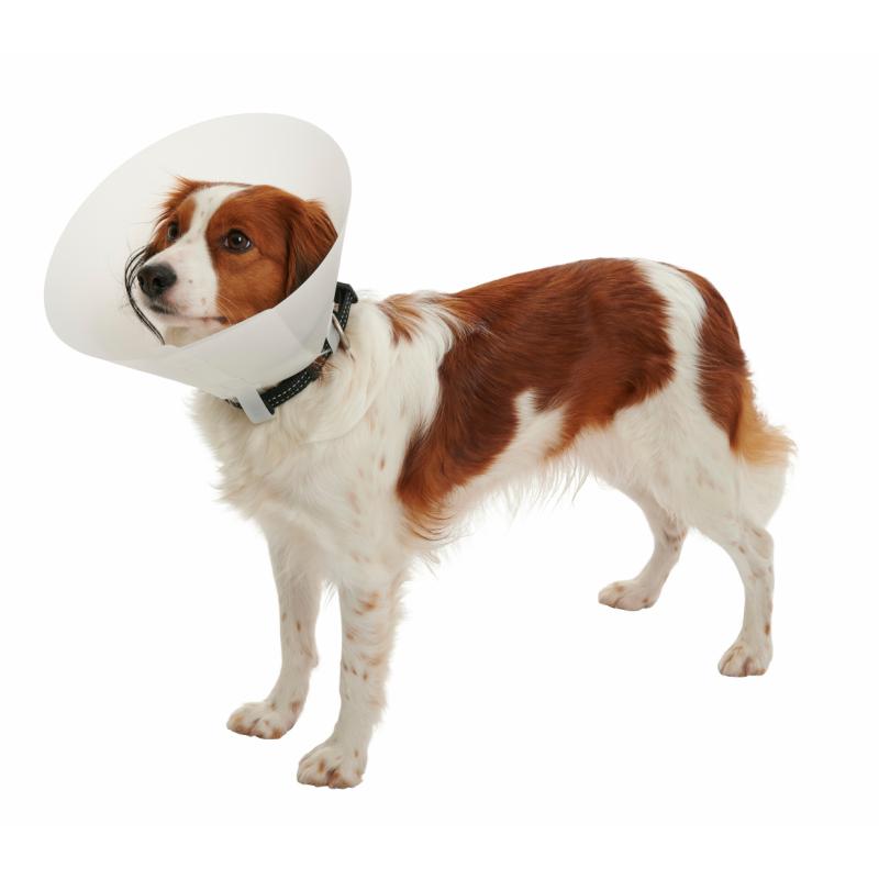 KR273498 Collar p/ collar Isab. 40cm pz.