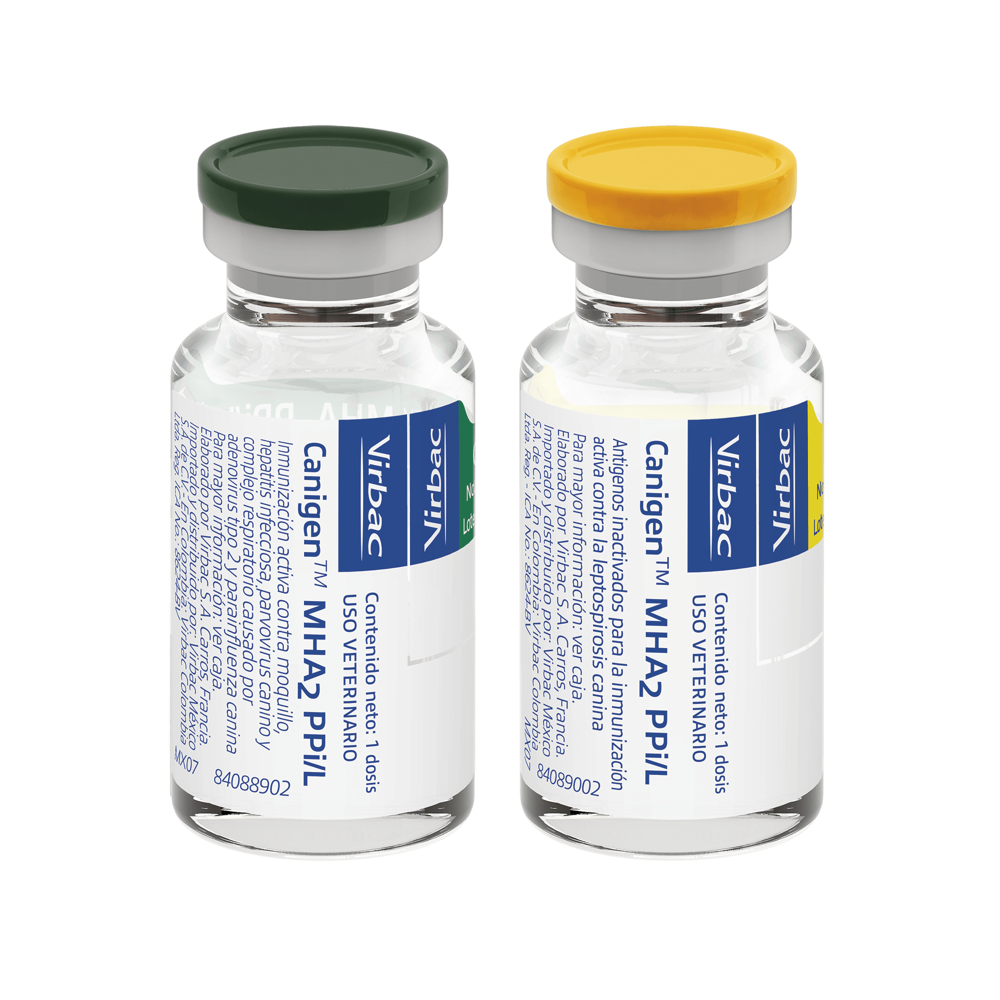 Canigen Mha2ppil Quíntuple