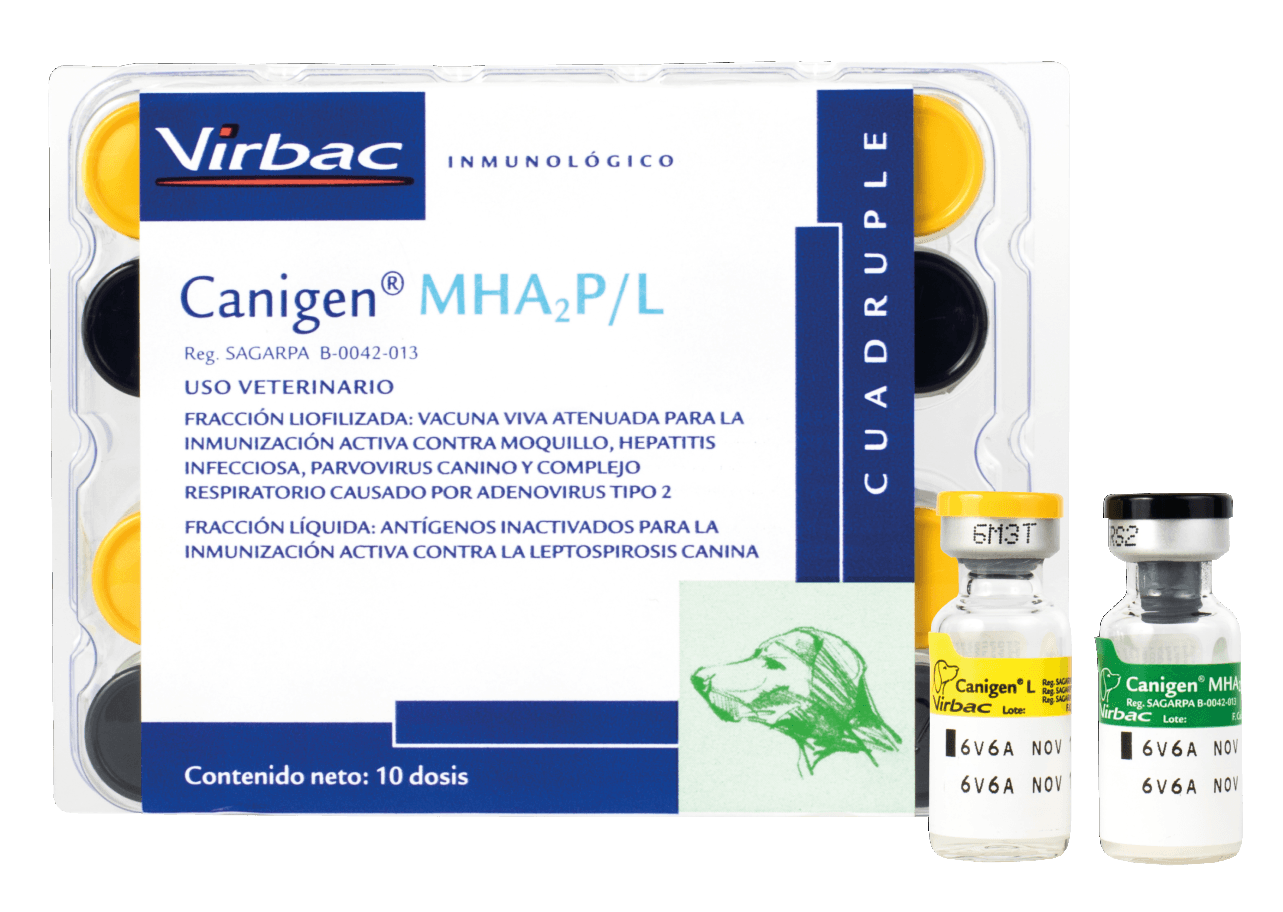 Canigen Mha2pl Cuadruple