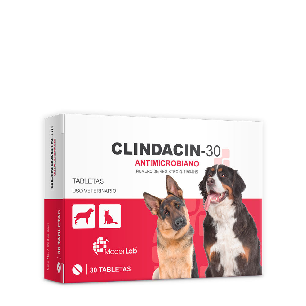 CLINDACIN-30 / 30 TABLETAS