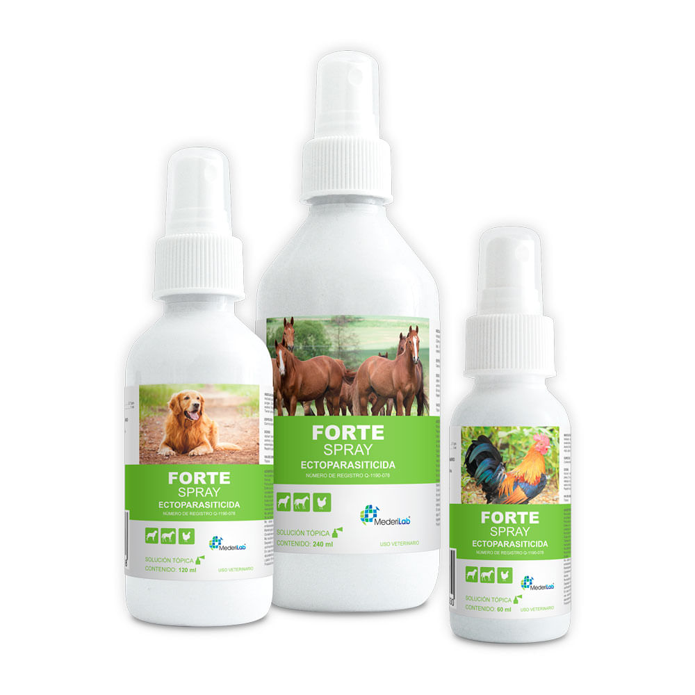 FORTE SPRAY 120 ML