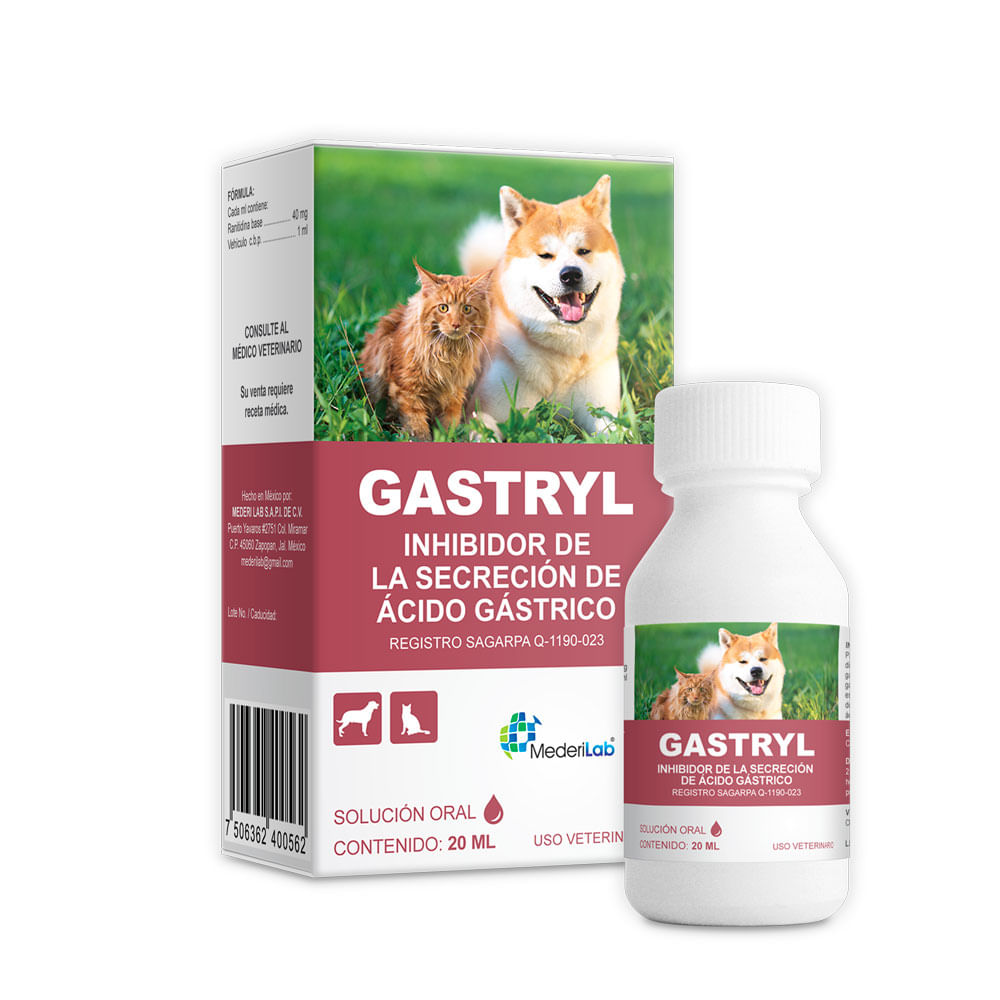 GASTRYL SUSPENSION ORAL 20 ML