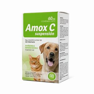 Amox C Suspension 60 ml