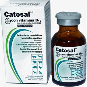CATOSAL 20 ML INYEC.